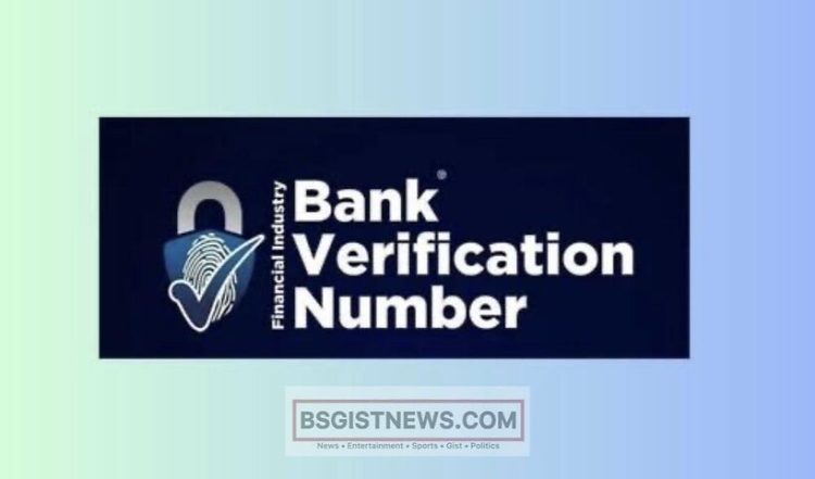 How to Check Your BVN Easily in 2025 (Updated Guide) | BsgistNews